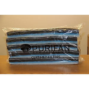 Purifan Factory-Certified PA2 Smoke and Odor Filters 1 Set of 5 Filters