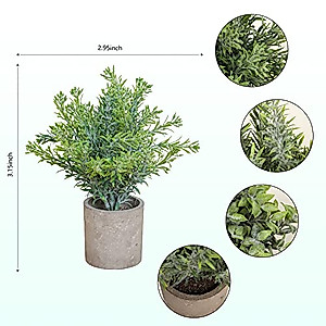 VaryFloral 3 Packs Small Fake Plants Artificial Potted Plants Set Realistic Eucalyptus Rosemary Mini Faux Greenery Potted Artificial Plants for Decoration for Home Décor Shelf Table Bathroom Indoor