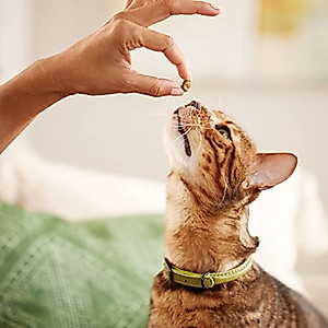 Rachael Ray Nutrish Wheelies Cat Treats, Chicken, 2.2 Ounces (Pack of 12)