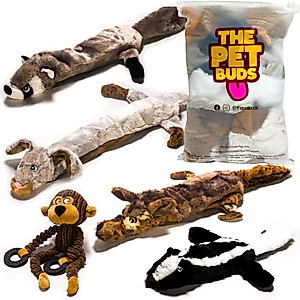THE PET BUDS No Stuffing Dog Toy Set - 5 Pack Bundle - No Dangerous Stuffing to Chew or Swallow - 2 Squeakers Each - Big Dog Plush Toys for Small, Medium and Large Dogs - Cute Durable Squeaky Dog Toy