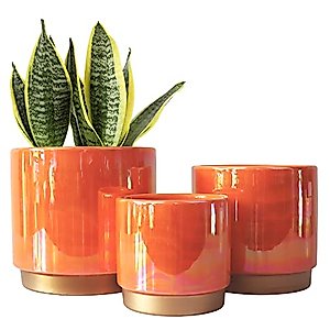 Gepege Ceramic Indoor Pots for Plants, Rainbow Pearl Glaze Planter with Drainage Hole, 6.0 inch+5.0 Inch+4.0 Inch. Orchid Flower Pots