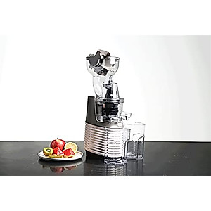 TANACC Portable Juice Blender Large caliber Electric Fruit Juicer Separation pomace juice Blender Machine Mixer vegetables food processor