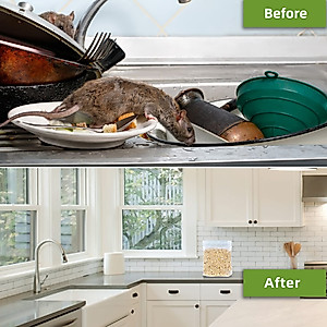 Careland Rodent Repellent Pouches Mouse Repellent, Natural Pest Repeller for Indoor, Peppermint Oil to Repel Rodents, Mice, Rats & Other Pests - 8 Pouches