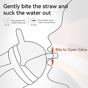 NCVI Weighted Straw Sippy Cup Spill Proof Stainless Steel, Kids Toddler Thermal Cup with Removable Handle and Replacement Head Straw Perfect for 2 Years Old, 10oz (Pink Bunny)