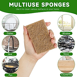 Rasket 10 Pack Biodegradable Natural Sponges Kitchen - Compostable Cellulose and Coconut Walnut Scrubber Sponge - Eco Friendly Sponges for Dishes