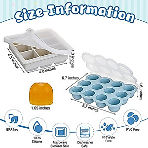 Hoolerry 4 Pcs Silicone Baby Food Freezer Tray with Clip on Lid Baby Food Storage Containers Milk Trays for Breastmilk Silicone Ice Cube Trays for Vegetable Fruit Puree, 2 Styles (Gray, Green, Blue)