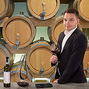 6 Pieces Horizontal Stick On Thermometer Strip Horizontal Thermometer Stickers Digital Temperature Display for Fermenting, Brewing, Wine, Beer, Kombucha Aquariums, 64-93°F (18-34°C) Adhesive Sticker