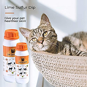 Classic's Lime Sulfur Dip - Pet Care for Itchy and Dry Skin - Xtra Strength Formula - Safe Solution for Dog, Cat, Puppy, Kitten, Horse (16 fl oz)