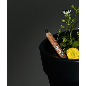 Sprout Eyebrow & Eyeliner Pencils | Vegan Formula | Plantable Eyeliner & Brow Pencils with Wildflower Seeds | Makeup Gift | 2 Pack | Black & Brown