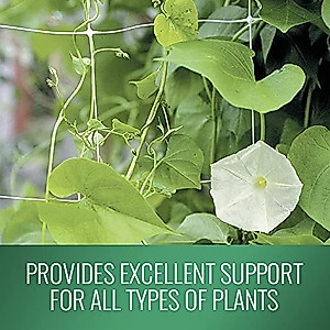 DL Wholesale VineLine Trellis Netting Garden Plant Plastic Trellis Net Roll for Climbing Plants Grow Support Fruits Vegetables, White, 4 ft x 100'