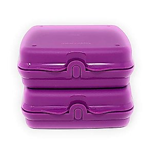 Sandwich Keeper Set in Purple By Tupperware
