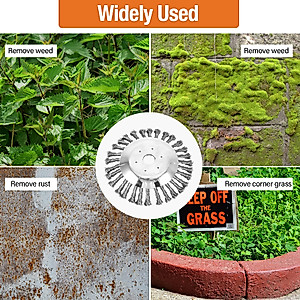 Barafat 8Inch Steel Weed Eater Trimmer Head, Wire Rotary Brush Weed Blade Cutter with Universal Adapter Kit Compatible with Stihl, Husqvarna, Gardening Lawnmower, Moss Grass Rust Removal