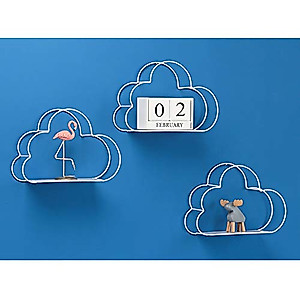 TOPINCN Cloud Shape Metal Wall Hanging Storage Shelf, Floating Wall Shelves Iron Storage Racks Hanging Decor Organizer Flower Pot Storage Rack Storage Box Wall Book Figurines Display