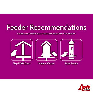 Lyric Sunflower Kernels Wild Bird Seed No Waste Bird Food Attracts Finches & More 25 lb. bag