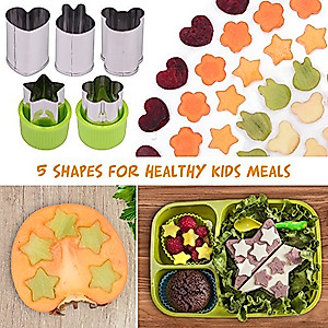 Sandwich Cutters for Kids, 20-Piece Set, 5 Kid Sandwich Cutters Shapes, 5 Vegetable Cutters Shapes, 10 Bento Deco