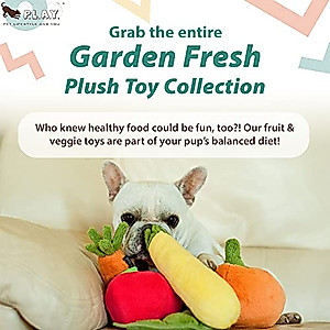 P.L.A.Y. Cute Plush Dog Toys - Fruit & Vegetable Themed Durable Squeaker Chew Toy, Great for Puppies & Small, Medium, Large Dogs - Machine Washable, Recycled Materials (Garden Fresh Peapod, Medium)