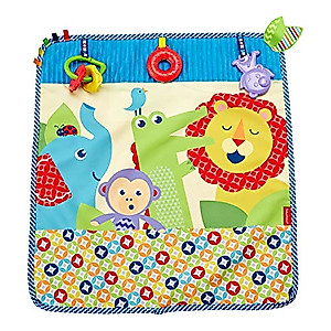 Fisher-Price On-the-Go Activity Throw