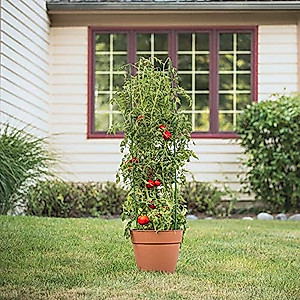 4 Pack Tomato Cages for Garden,Garden Stakes for Plants, Plant Cages with 3 Adjustable Rings,Plant Stake for Supporter Climbing Plants(18 inches,Pack of 4)