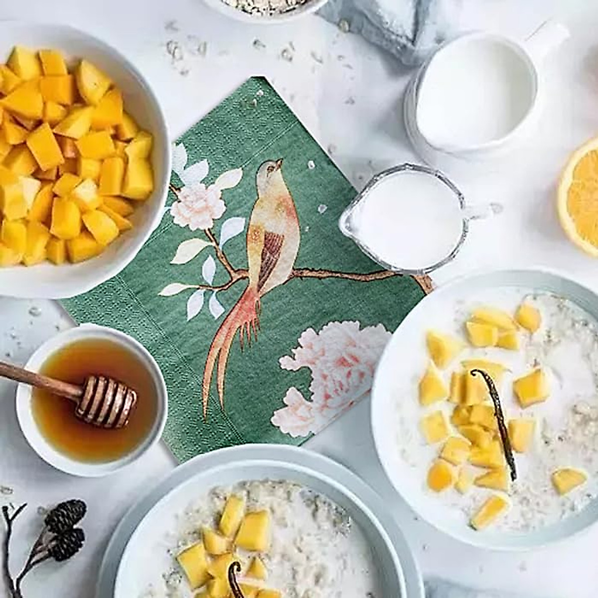 ALINK Vintage Paper Napkins, Bird Design DecoupageLuncheon Tea Party Napkins, 20 Count 2-Ply, 13 x 13 Inch