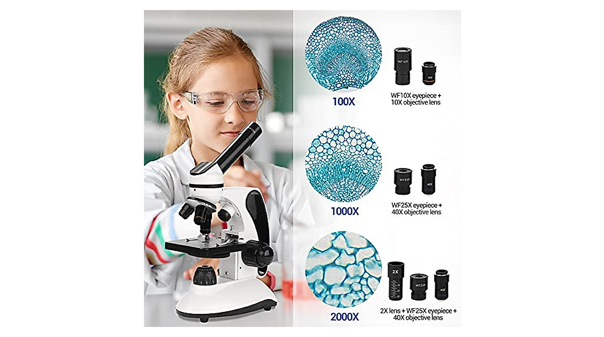 40-2000x Microscope for Adults - Share Your Discoveries