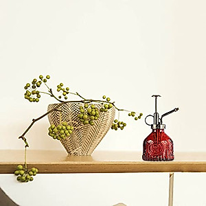 KELINFONG Field Sprinklers Gardening Glass Retro Spray Watering Watering Air Pressure Can Can Watering Patio & Garden (Red, One Size)