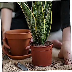 Yardwe 2pcs Plant Climbing Trellis Metal Planters for Outdoors Mini Plants Plant Stand Outdoor Cucumber Trellis Climbing Rose Trellis Artificial Trellis Gardening Accessory Rattan Frame