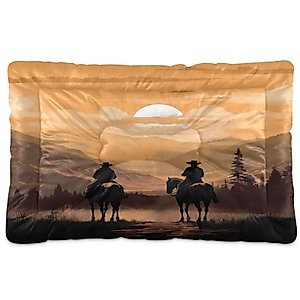 YETTASBIN Western Cowboy Crate Pet Bed, Portable Washable Dog Cat Mat, Soft Comfortable Pet Mattress with Non-Slip Bottom for Dogs Cats Sleeping, 36 x 24 Inch