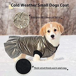 BRKURLEG Small Dog Cold Weather Coats,Gold Winter Doggie Jacket for xs s Medium Dogs Girl,Fleece Cozy Warm Padded Skirt for Puppy Thick Vest Dress,Water Resistant Snowsuit for Chihuahua Poodle Shihtzu