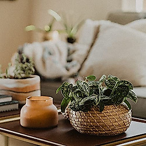 Dicunoy Set of 3 Small Wicker Basket with Lid, Round Woven Seagrass Baskets, Little Handmade Rattan Storage Basket Box for Shelf, Home, Bathroom Decor