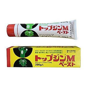 Japanese Top Jin M Paste for Bonsai Tree Cut, Wound & Grafting Sealant - 200 g
