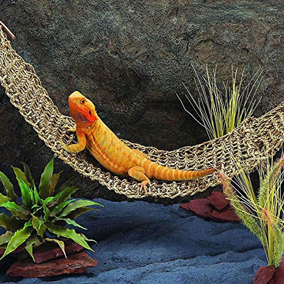 balacoo Bearded Dradon Hammock Natural Seagrass Fibers Reptile Lounger,Terrarium Tank Decoration Climber Vines for Anoles,Geckos,Iguanas and Hermit Crabs