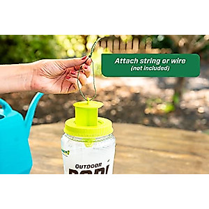 RESCUE! POP! Fly Trap – Large Reusable Fly Trap for Outdoor Use