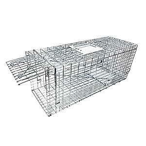 Large Collapsible Humane Live Animal Cage Trap No-Kill Trapping Kit for Humane Catch Release Rabbits, Stray Cat, Squirrel, Raccoon, Other Fit Sized Animals, Heavy Duty, 2-Door -31" x 11.5" x 12.5"