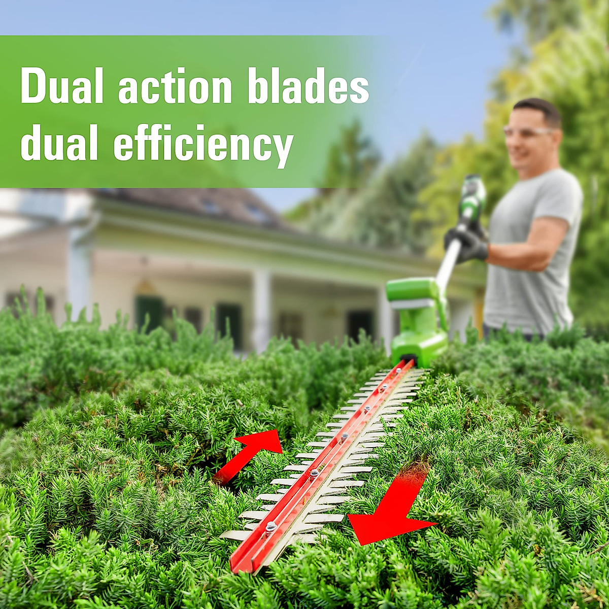 Greenworks 24V 8" Cordless Polesaw + 20" Pole Hedge Trimmer Combo (Great For Pruning and Trimming Branches / Shrubs), 2.0Ah Battery and Charger Included