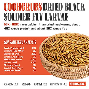 COOHGRUBS Premium Grade Dried Black Soldier Fly Larvae Chicken Treats, Tasty and Healthy Snacks for Hens Ducks, 5 lb. Box