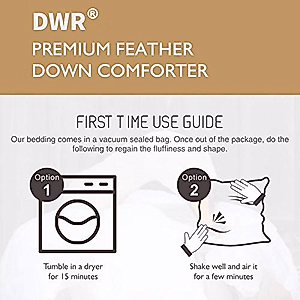 DWR Premium Feather Down Comforter Duvet Insert - 100% Skin-Friendly Cotton, Medium Weight Quilted for All Season Bedding (Full/Queen, Ivory White)