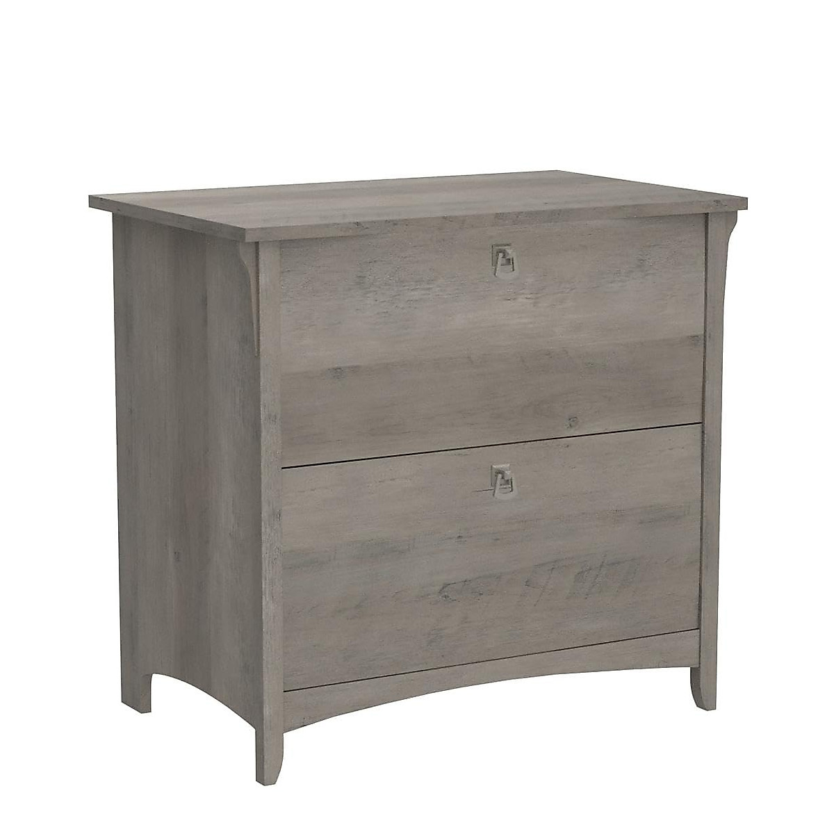Bush Furniture Salinas Lateral 2 Cabinet Filing Drawer | Home Office Storage Organizer, Driftwood Gray