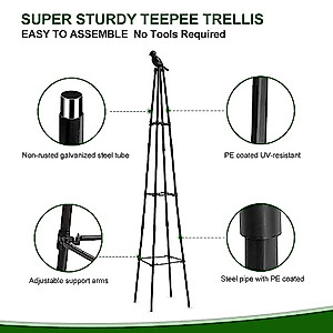OTOSUNNY Trellis for Climbing Plants, 4 ft Tall 4-Stake with 3-Tier Braces Plant Pot Trellis, Metal Rose Garden Trellis for Climbing Plants Outdoor Vegetable|Flower|Vine Potted Plants, 1 Pack, Black