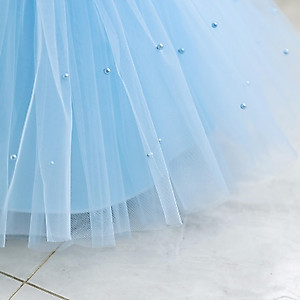 Baby Flower Girl Dress: Toddler Dress for Wedding First Communion Baptism Christening Dresses First Birthday Outfit Newborn Photoshoot Cake Smash Infant Kids Princess Tulle Gown Blue 18-24 Months