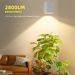 Bstrip Hanging Grow Light, 3000K Full Spectrum Hanging Grow Lights for Indoor Plants, 30W Plant Light Bulbs with 16.4FT Power Cord, Plant Light for Indoor Plant with Timer for Garden, Greenhouse