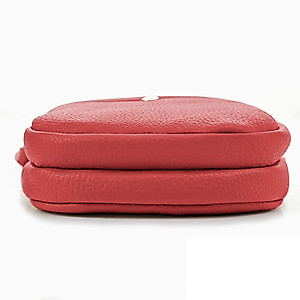 Emperia Double Compartments Small Crossbody Bag with Adjustable Shoulder Strap Front Slip Pocket -RD