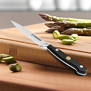STEINBRÜCKE Paring Knife 4 inch, Small Kitchen Knife Forged from German 5Cr15Mov(HRC58) Stainless Steel, Full Tang Sharp Paring Knife with Ergonomic Handle for Cutting, Peeling and Slicing