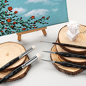 Miniature Brushes 10 pcs with Dry Brush for Miniature 2pcs with Kolinsky Sable Brushes 1 pcs Paint Brushes Sable Paint Brushes for Citadel Model Paint Brushes for Acrylic 5/0 10/0 40k