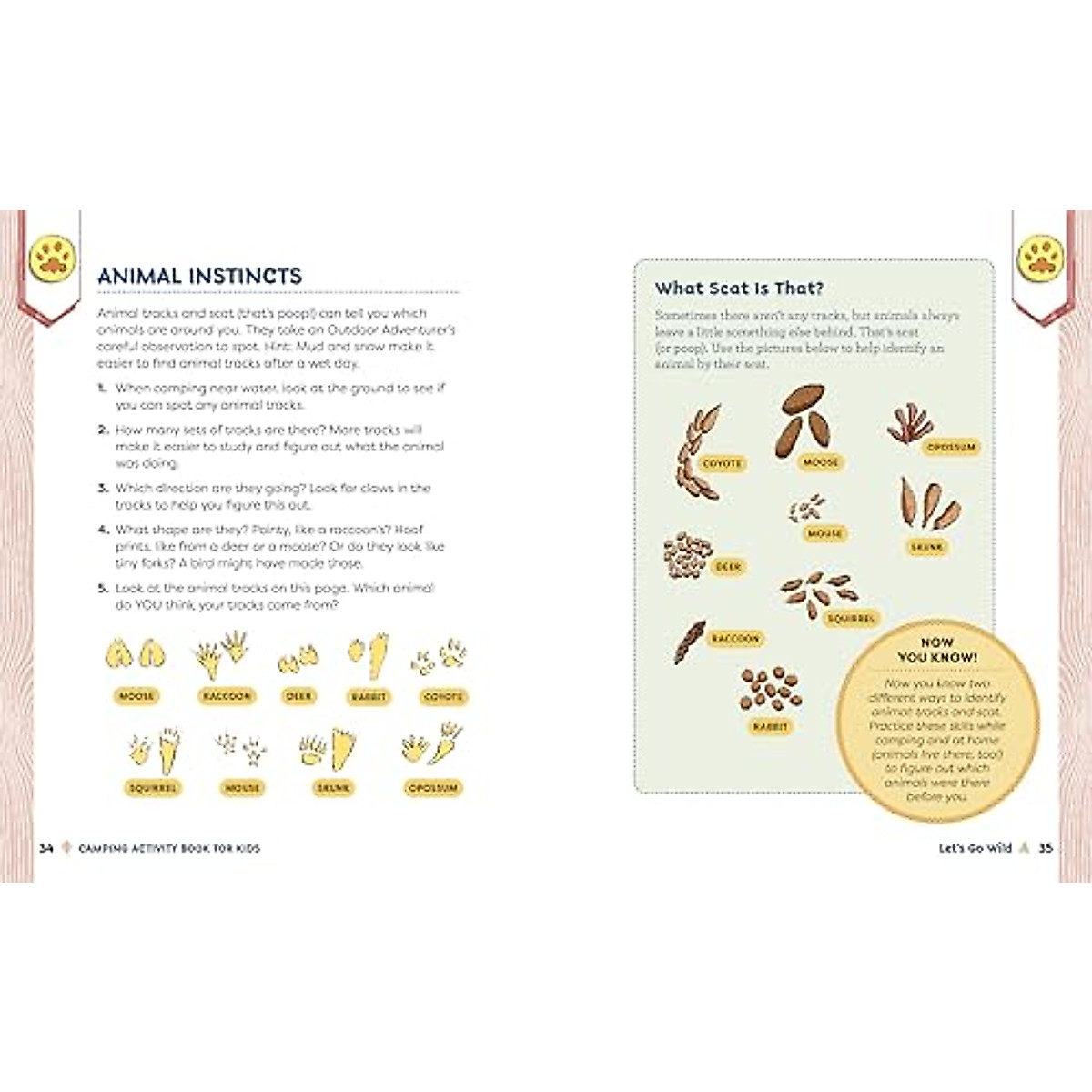 Camping Activity Book for Kids: 35 Fun Projects for Your Next Outdoor Adventure