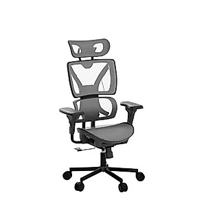 OUTFINE Back Height Adjustable High Back Mesh Chair, Adjustable Chair Back 3 Level Lock Function, 2D Adjustable Armrest, Adjustable Headrest and Adjustable Lumbar Support, Tilt, 300LBS