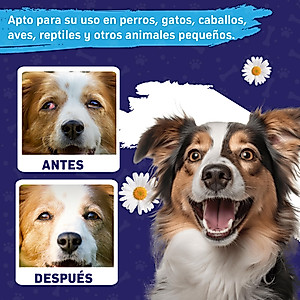 Spanielbuns Dog Eye Drops 200ml,All Natural Ingredients Eye Wash for Dogs and Cats, Cleanses Tear Stains,Goop Mucus, Improves Allergy Symptoms and Dry Eyes