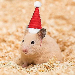 POPETPOP Guinea Pig Costume - Cat Santa Hat Pet Christmas Hat Santa Claus Cap Head Accessories for Rabbit Hamster Guinea Pig Rats Kitten and Small Animals