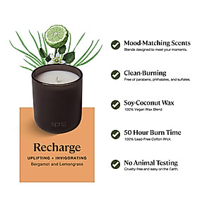 Sprig by Kohler Recharge Aromatherapy Candle with Bergamot and Lemongrass, 100% Natural Soy-Coconut Wax, Uplifting and Invigorating Scent, Gift for Holidays, 8 oz