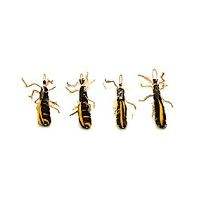 Litterboy Black Beetle Attachment - 4 Pack - Fits Popular Wand Toys