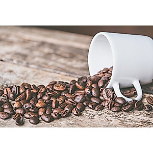 BALCI - Stainless Steel Coffee Scoop (2 Tablespoon Scoop) Exact Measuring Spoon for Coffee, Tea, Sugar, Flour and More! …